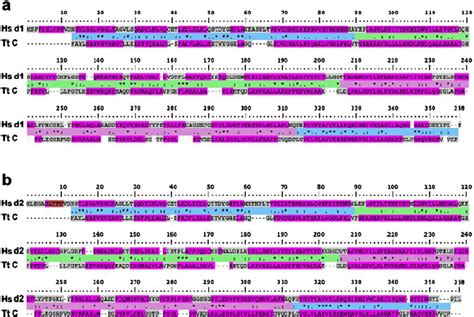 Primary Sequence Alignments And Secondary Structure Pre Dictions Of A Download Scientific