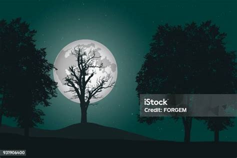 보름달을 밤 하늘 아래 깊은 낙 엽 숲의 벡터 일러스트 레이 션 녹색에 대한 스톡 벡터 아트 및 기타 이미지 녹색 달 하늘 가득 찬 Istock