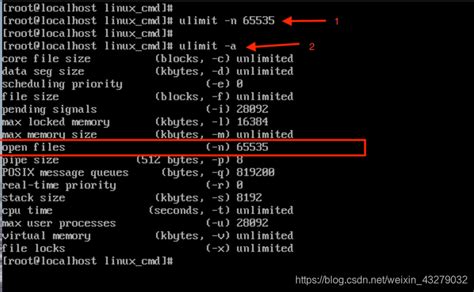 Linux系统最大打开文件数设置服务器设置文件数最大读取数 Csdn博客