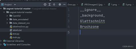 Labelme分割数据 单分类 多分类input Annotated Directory什么意思 Csdn博客