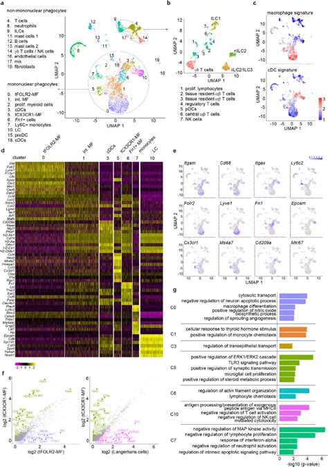 single cell sequencing characterization of leukocytes in the mouse