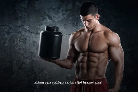 تفاوت مکمل امینو با پروتئین وی مکمل شاپ