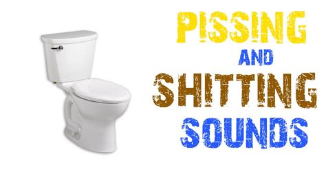 Pissing And Shitting Sounds Asmr Binaural 3d Sounds Youtube