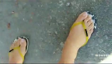 Cockroach Crushed By Friend