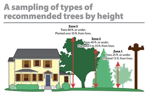 Tree Trimming Office Of The Ohio Consumers Counsel