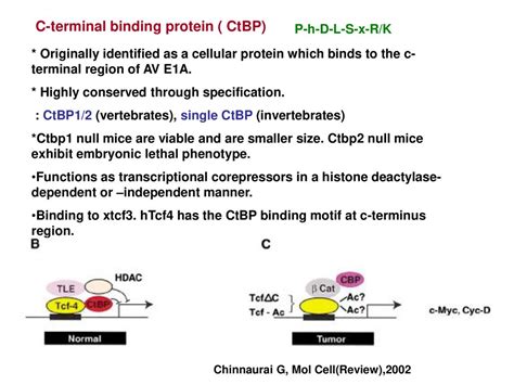 Function Of The Apc 1 Reducing The Levels Of Cytoplasmic Bcatenin By Binding To Axin 2 Nuclear
