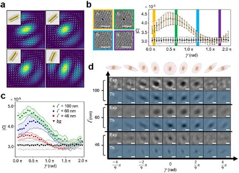 Figure 2 From Resolving Proximal Nanometer Objects Below The Diffraction Limit With