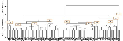 Dendrogram Showing Hierarchical Clustering Patterns Of 124