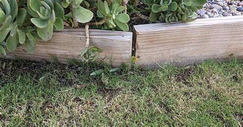 Edge Issue Album On Imgur