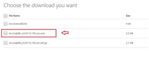 Jspservlet Insert Update Select Search Sql Server With Ide Eclipse