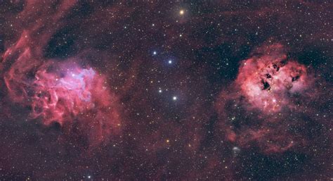 Jennifer Harrison Body Photos Download The Best Free Jennifer Harrison