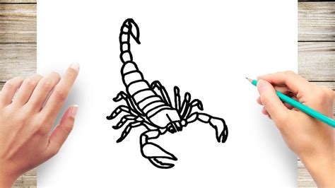 Easy Scorpions Drawings 🦂 How To Draw A Scorpions 🦂 Easy Step By