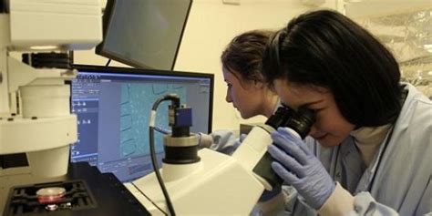 New Research Investigates Whether Microfluidic Based Cell Culture Is