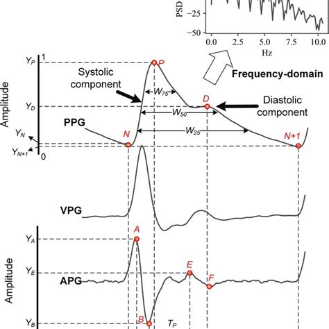 Ppg The First Derivative Of Ppg Vpg The Second Derivative Of Ppg Download Scientific