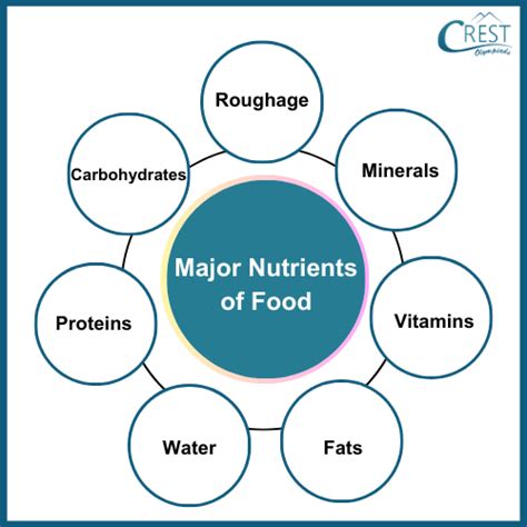 Class 6 Sources And Components Of Food Crest Olympiads