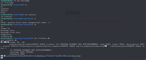 hackthebox codify writeup