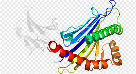 Graphic Design Design Text Area Art Png PNGWing