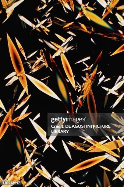 Microscopic Vitamins Photos And Premium High Res Pictures Getty Images