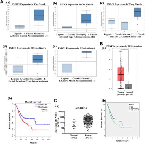 Fibronectin Type Iii Domain Containing 1 Was Highly Expressed In Download Scientific Diagram