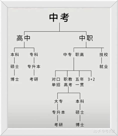 2022年中考分流后的上大学途径 知乎