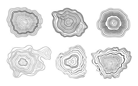 Premium Vector Tree Cut Pattern Vector Topographic Map Concept