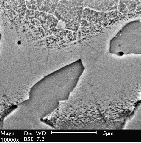 Micrograph Of The Carburized Layer Precipitated M 23 C 6 Carbides Are Download Scientific