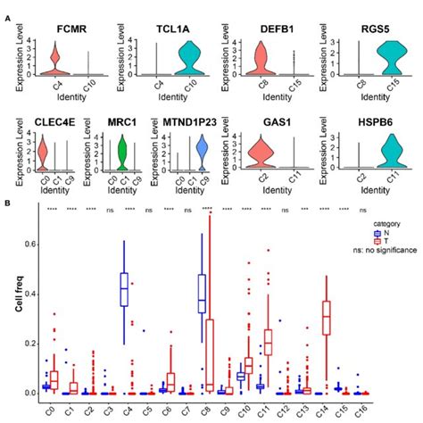A Violin Plot Of Expression Of Characteristic Genes In Cell Clusters