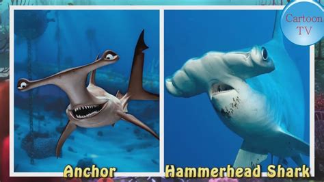 Hammerhead Shark Finding Nemo