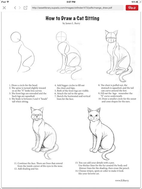 How To Draw Manga Warriors Cat Sitting