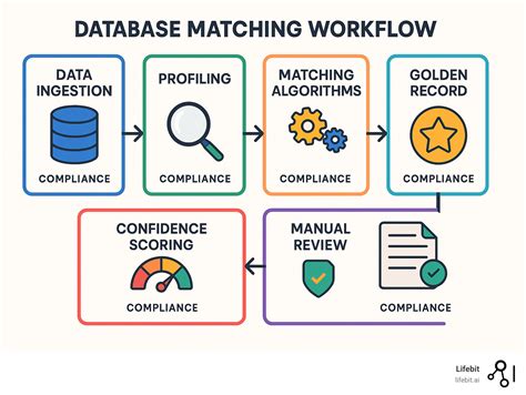 Database Matching Software 7 Powerful Benefits In 2025