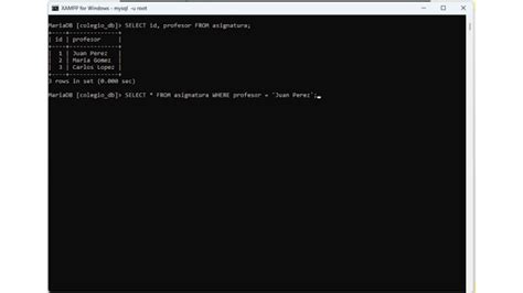 Insertar Datos En Una Tabla En Mysql