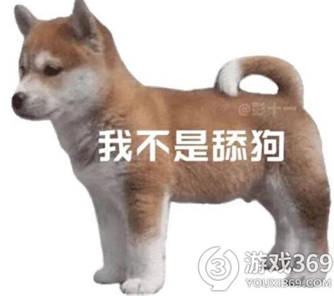 站岗小狗表情包 站岗小狗可爱搞怪表情包 游戏369