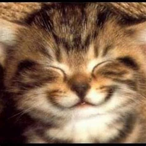 Dalibor Kovacevic Youtube