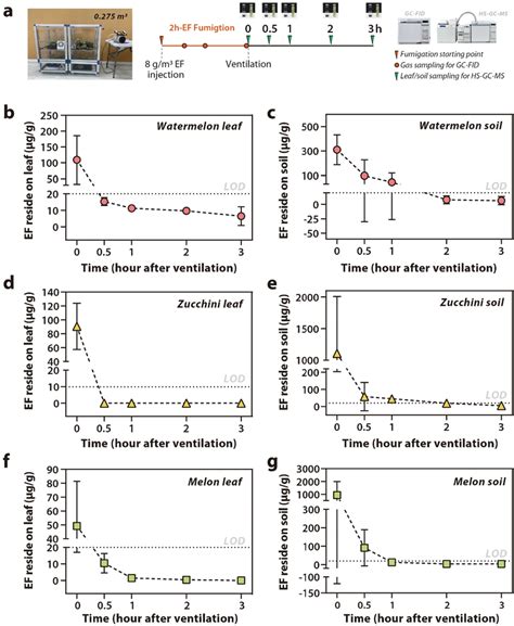 Time Dependent Residue Evaluation Of Ethyl Formate Ef On Three Crop