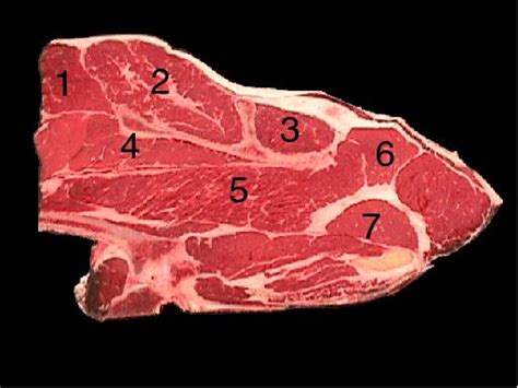 Beef Chuck 7 Bone Steak Artofit