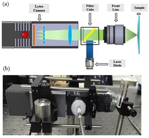 A Compact Fluorescent Light Field Microscope For Rapid Plenoptic Imaging Of Multilayer Droplet
