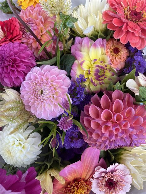 Flowerful Farm