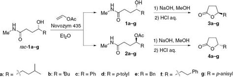 Novozym 435 Catalyzed Stereoselective Acetylation Of Rac 1a G Download Scientific Diagram