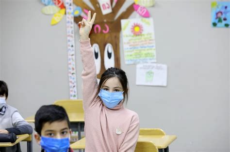 საქართველოს განათლებისა და მეცნიერების სამინისტრო