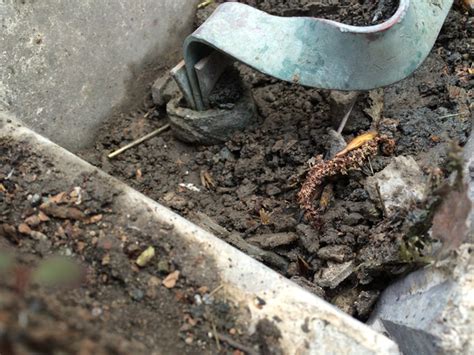 Electrical Earth Condition Monitoring Keeping Assets Operational