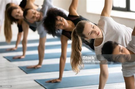 바시스타사나 또는 사이드 플랭크 포즈를 취하는 다인종 사람들의 그룹 개선에 대한 스톡 사진 및 기타 이미지 개선 건강한 생활방식 과체중 Istock