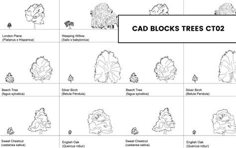 Free Tree CAD Blocks