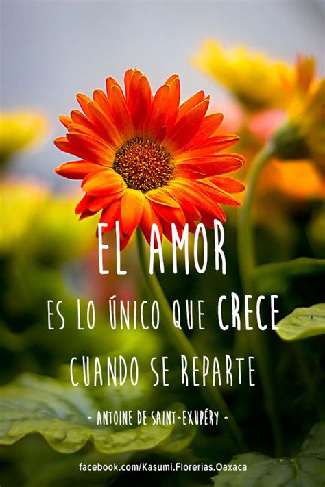 El Amor Es Lo único Que Crece Cuando Se Comparte Fotos De Bom Dia