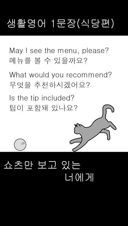 식당에서 쓰는 영어 영어회화 영어 고양이 영어공부 Youtube