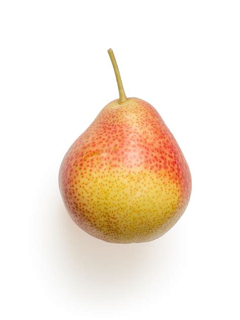 3000 무료 Pear And 배 이미지 Pixabay