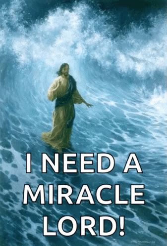 Miracle S