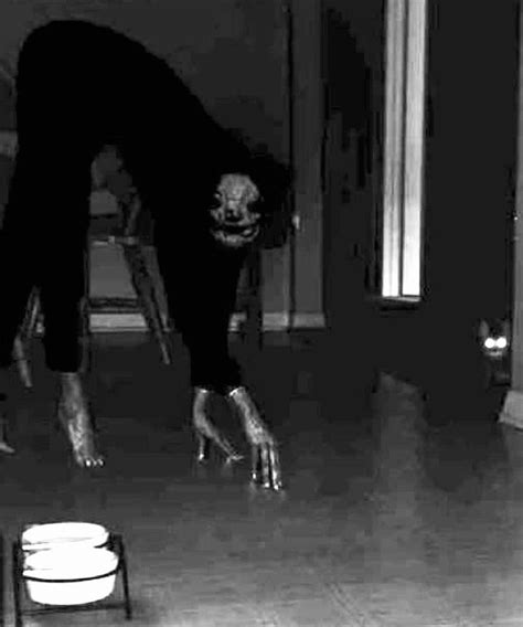 what was that noise r weird