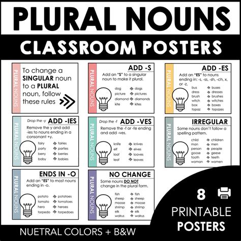 Irregular Plural Nouns Poster Plural Rules Raising Readers