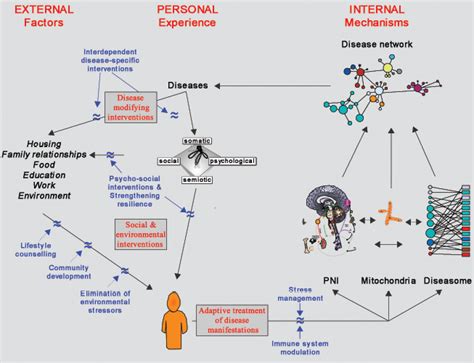 A Network Model Of Multimorbidity The Figure Illustrates The Network