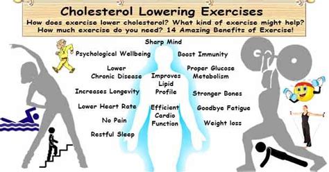 Cholesterol Lowering Exercises How Does What Kind And How Much Cholesterol Improve